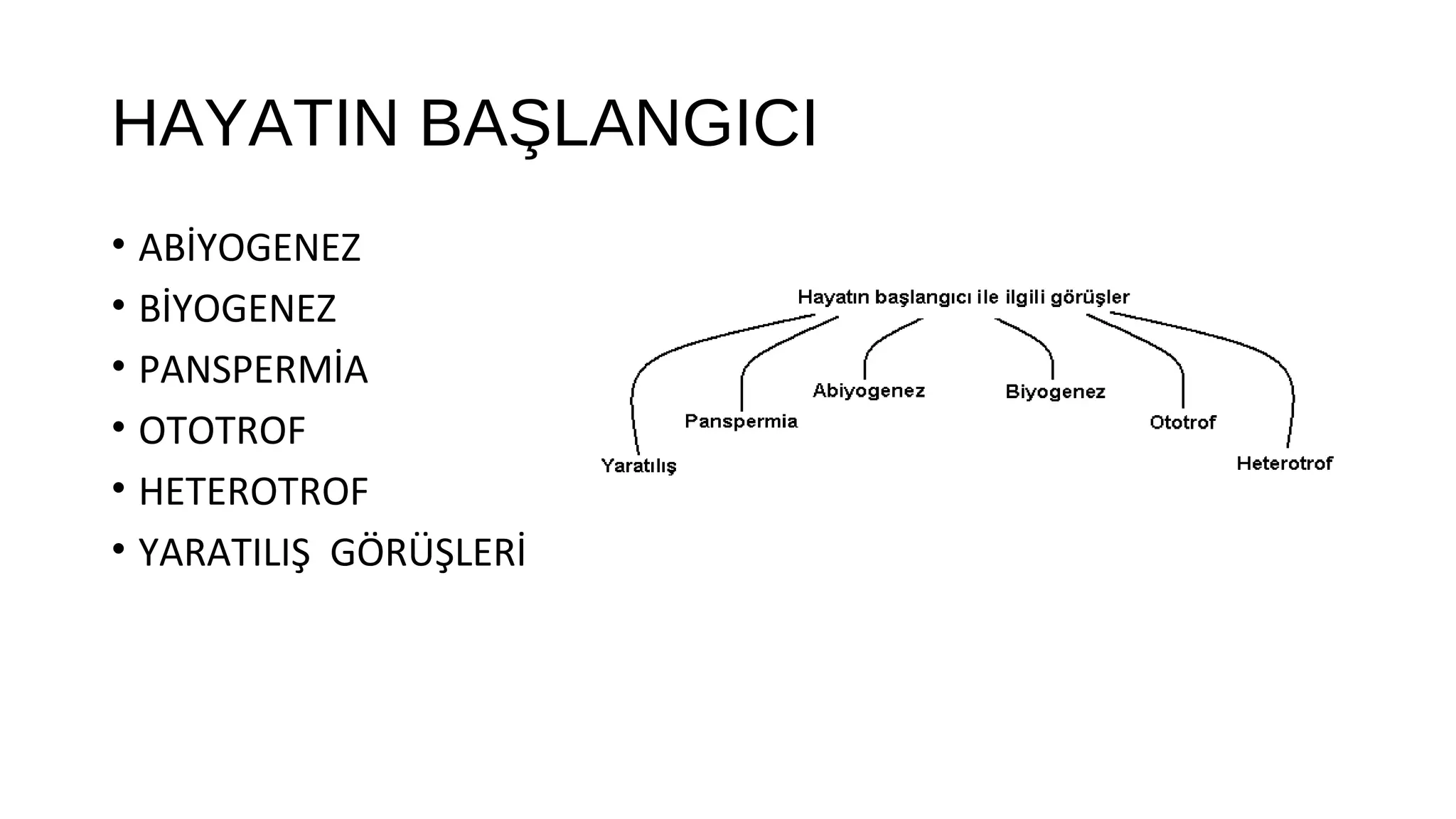 Evrim - Evolution | PPT