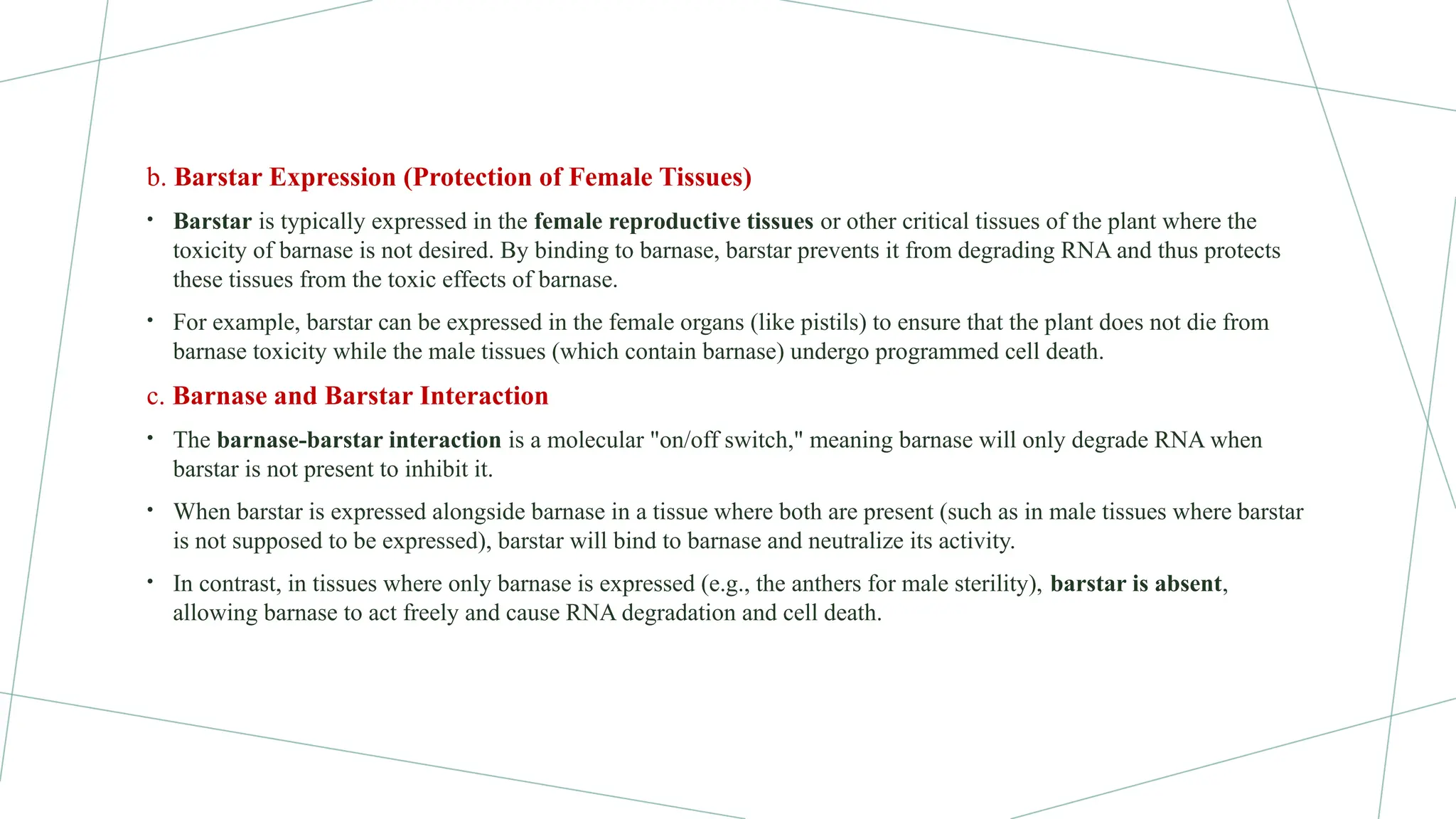 Bar and Barnase System of Plant Biotechnology | PPTX