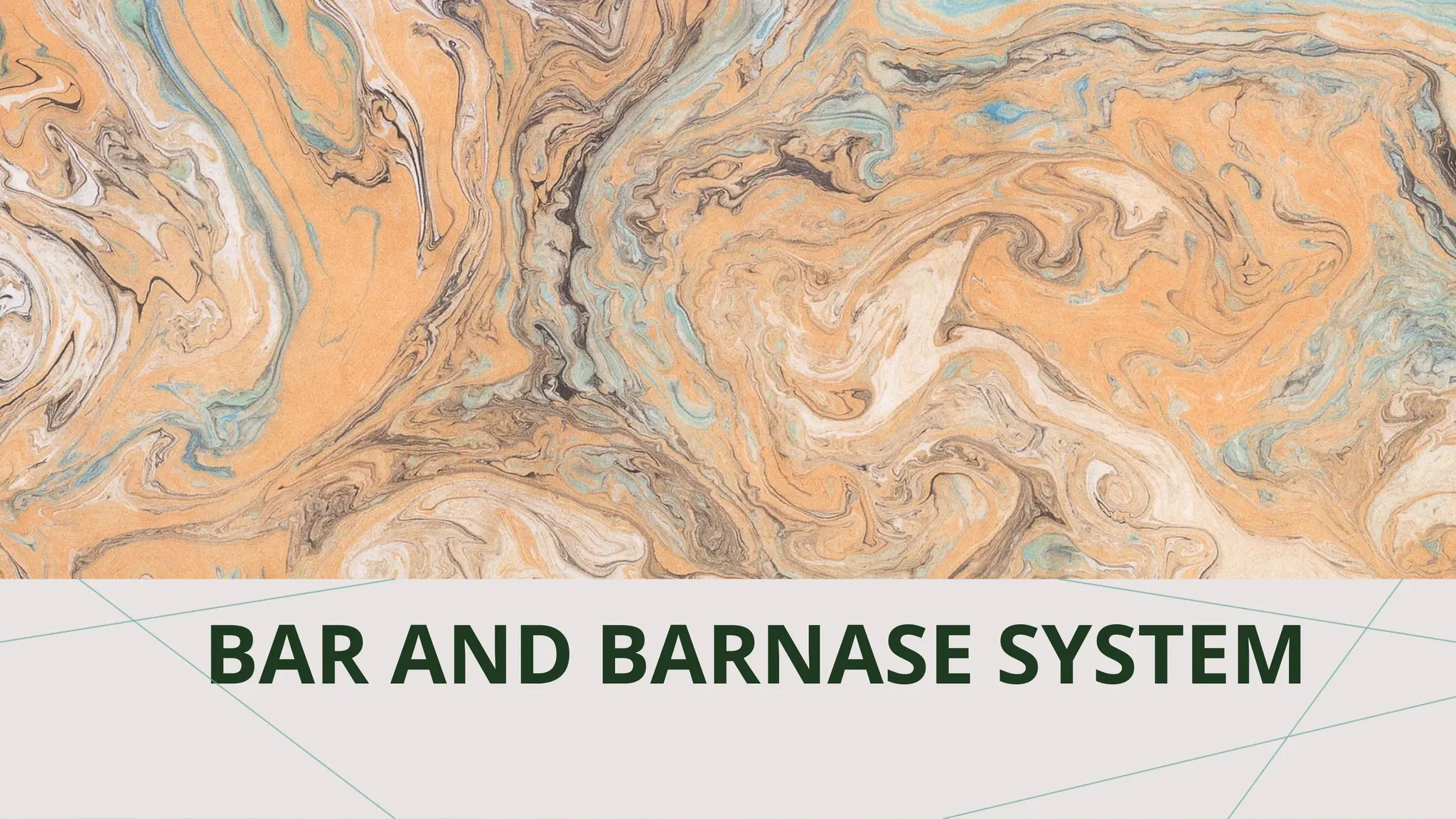Bar and Barnase System of Plant Biotechnology | PPTX