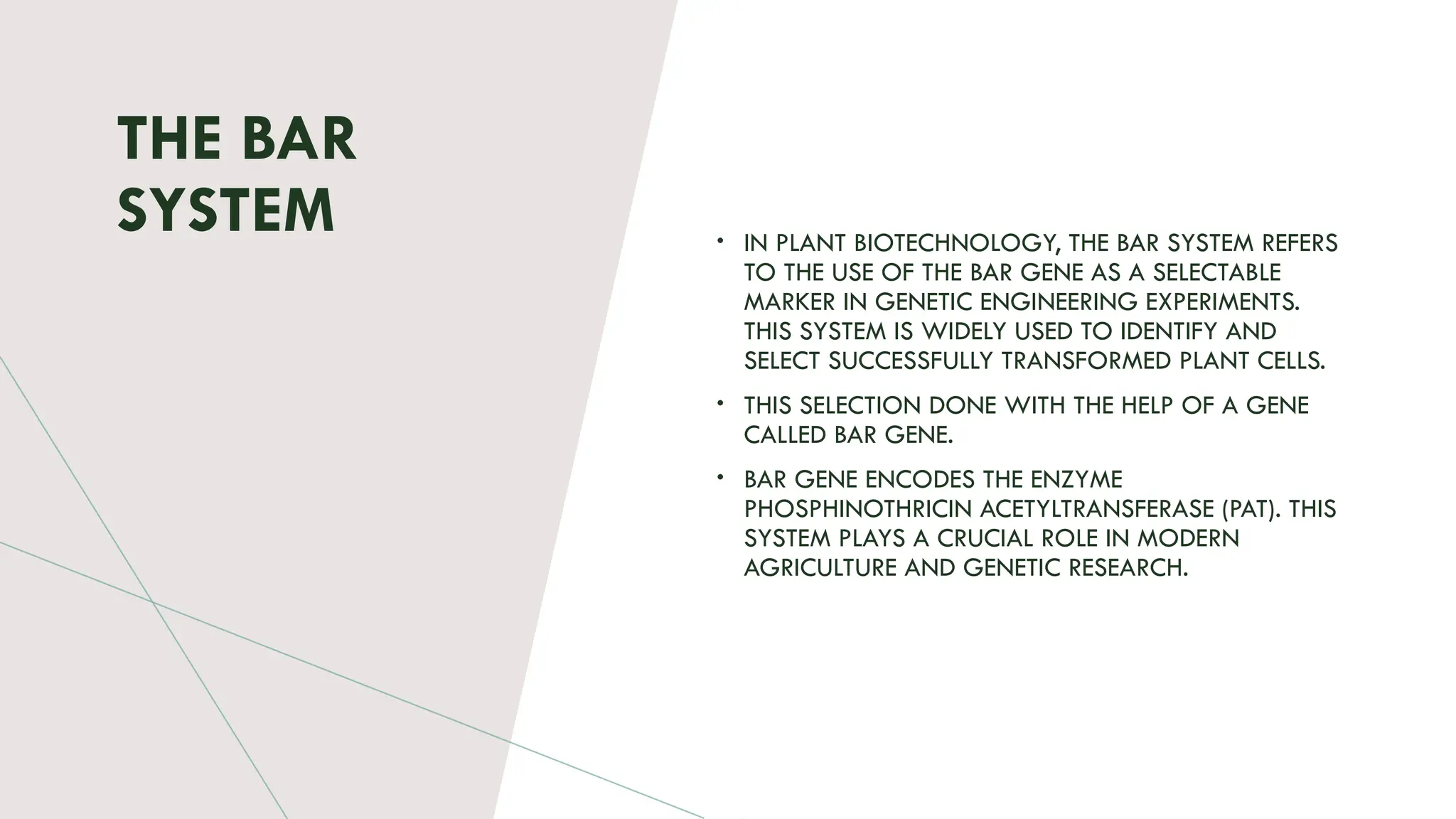 Bar and Barnase System of Plant Biotechnology | PPTX