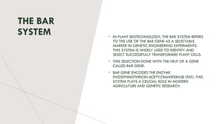 Bar and Barnase System of Plant Biotechnology | PPTX