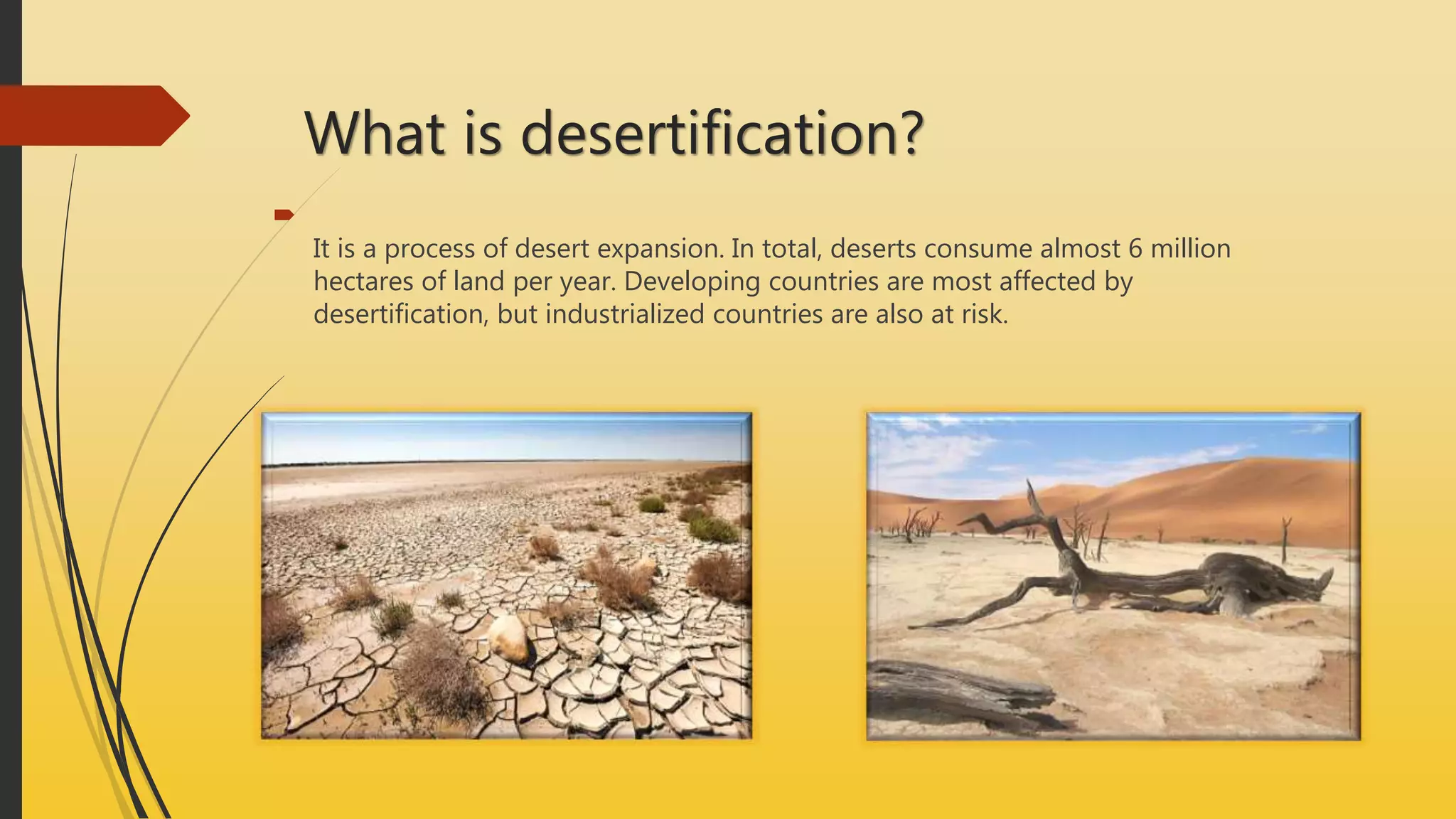 Desertification Group 3 | PPTX