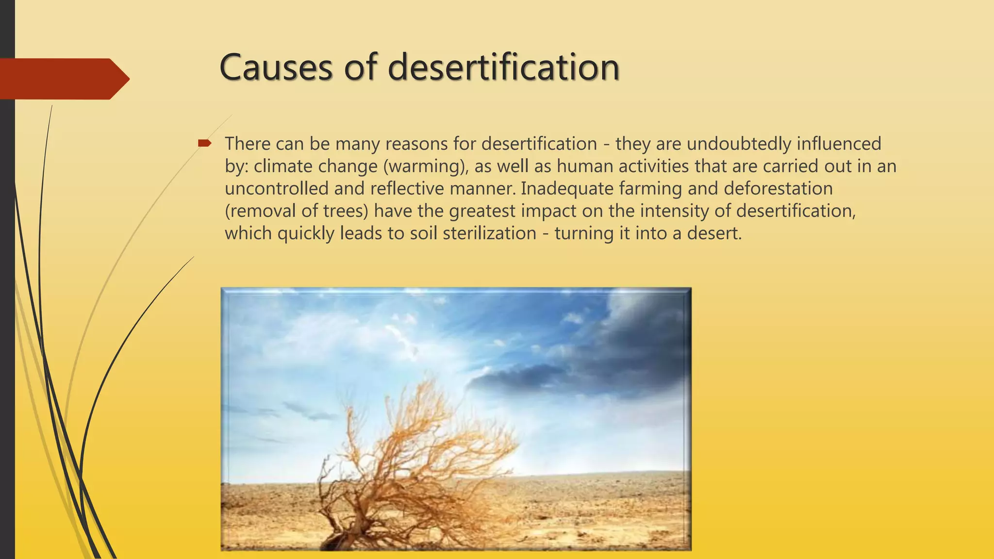 Desertification Group 3 | PPTX