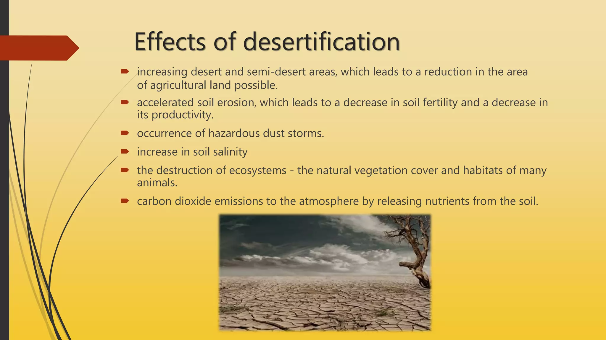 Desertification Group 3 | PPTX