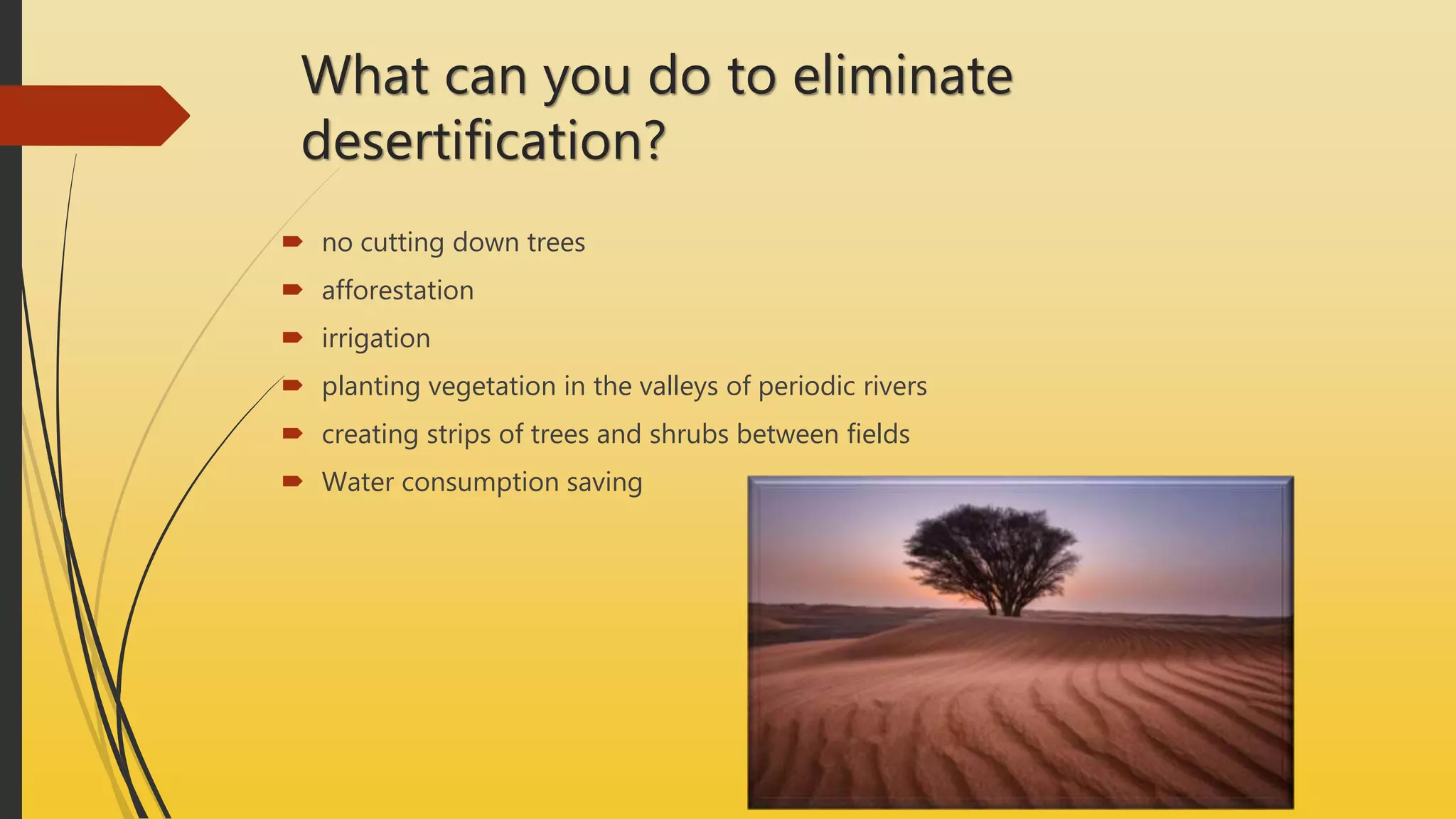 Desertification Group 3 | PPTX