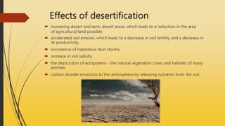 Desertification Group 3 | PPTX