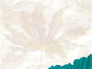 Barangay future search conference by Rey Halili | PPT