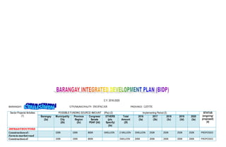 Barangay integrated development plan | DOCX