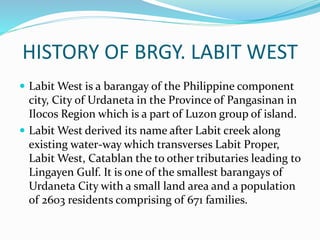 Barangay labit west urdaneta city | PPTX