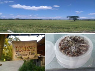 Barangay labit west urdaneta city | PPTX