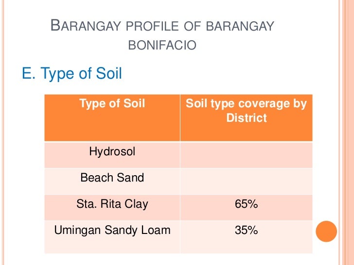 Barangay profile of barangay bonifacio