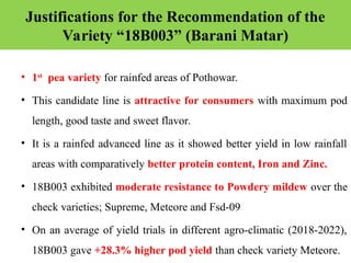 Barani Matar (BARI CHakwal) M.Saqib Naveed.ppt