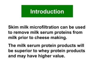 Skim milk microfiltration: Impact on cheese composition, yield, and ...