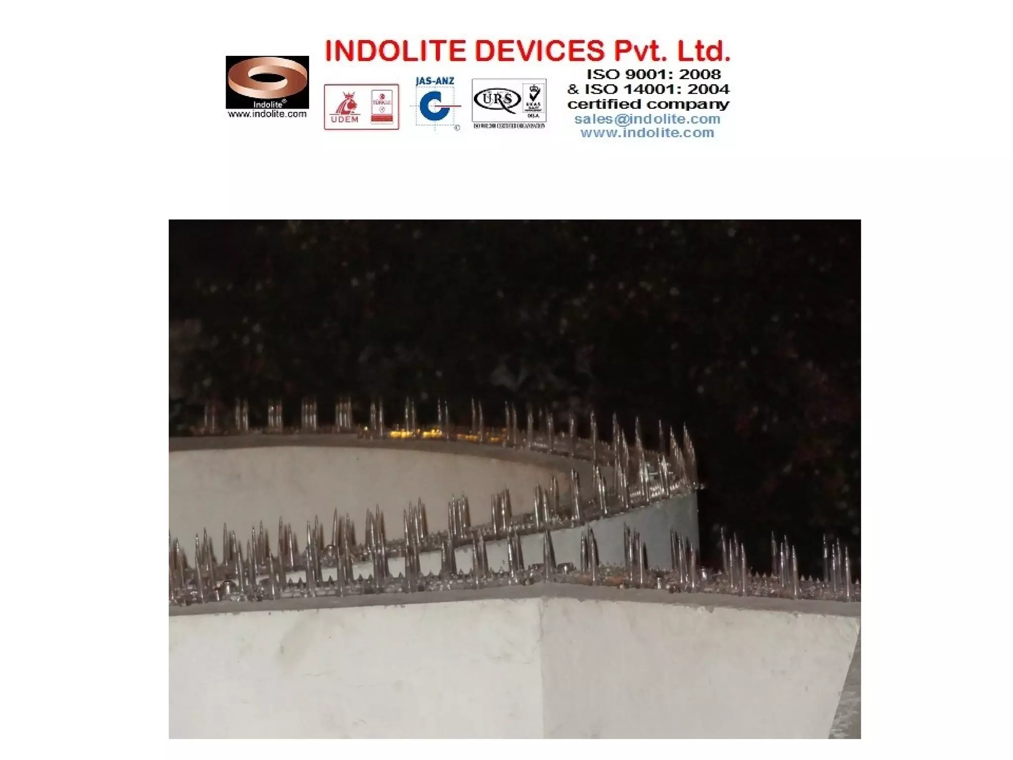 Barbed wire versus monkeyscare | PPT