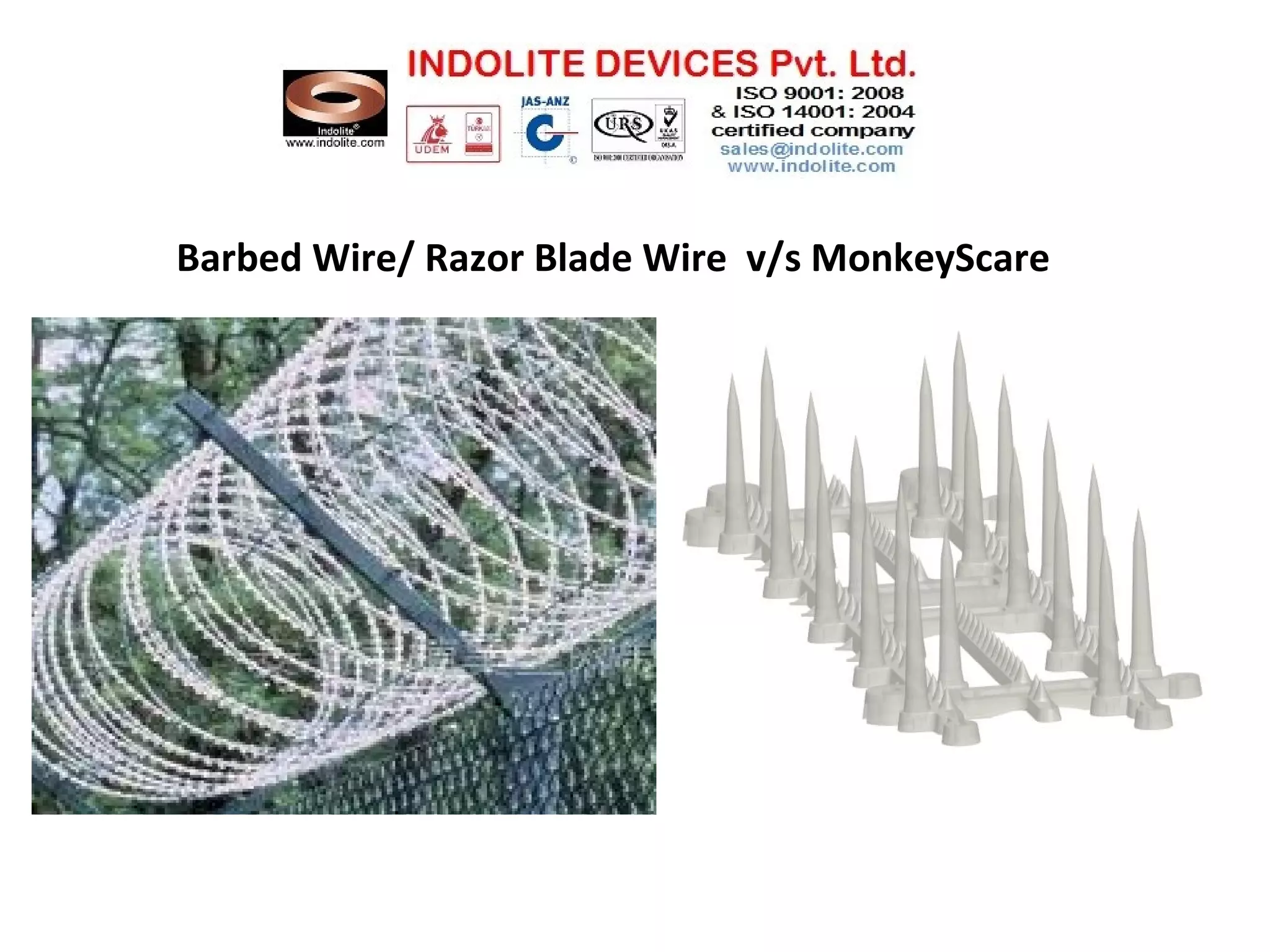 Barbed wire versus monkeyscare | PPT