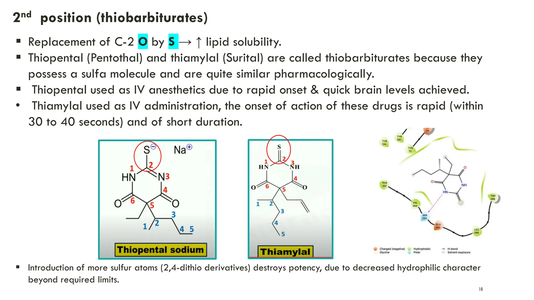 Barbiturates -Medicinal Chemistry | PDF
