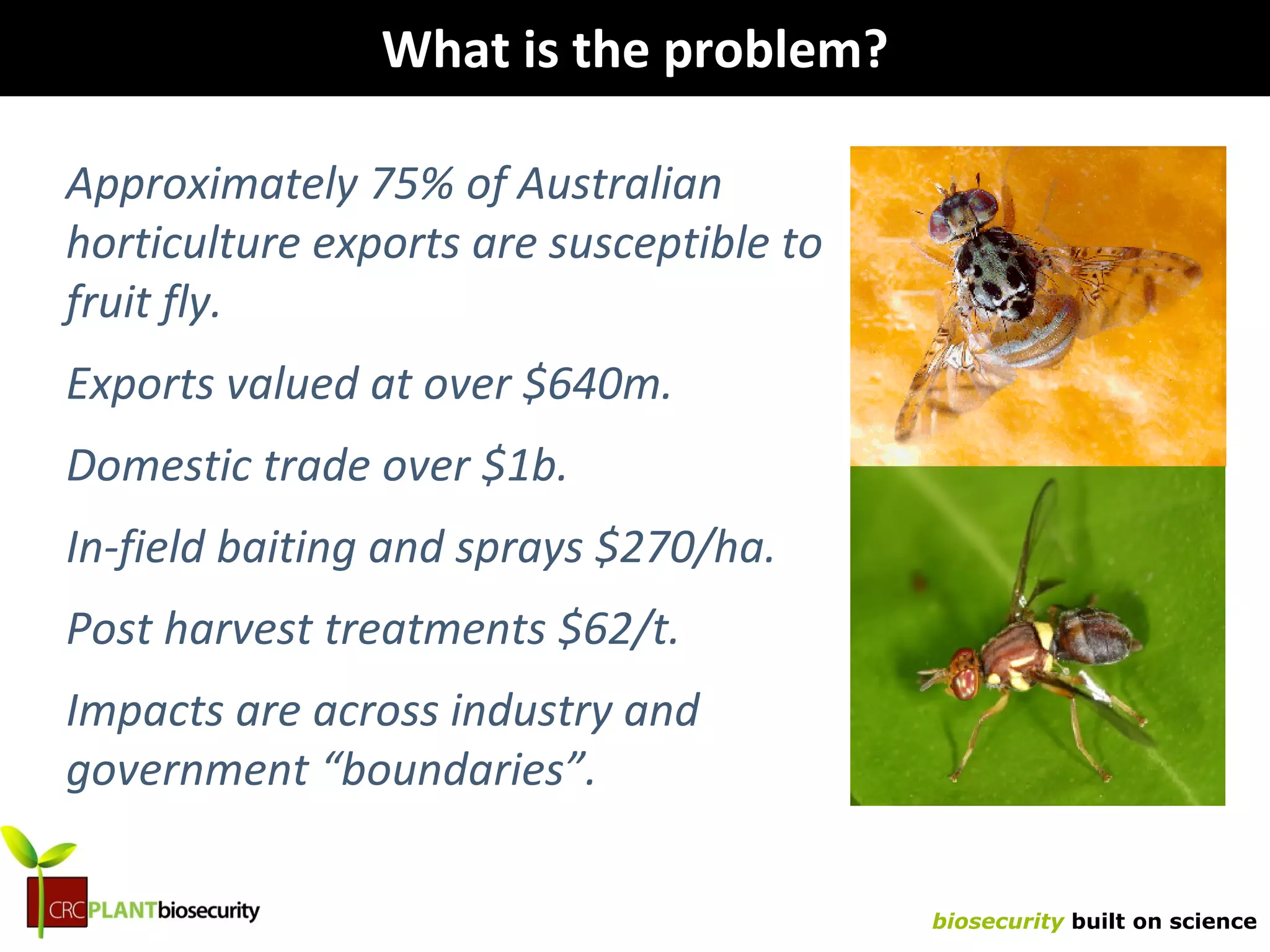 Fruit fly research - a national approach | PDF