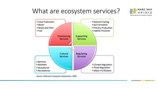 Ecosystem services and rattan systems | PPTX