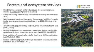 Ecosystem services and rattan systems | PPTX