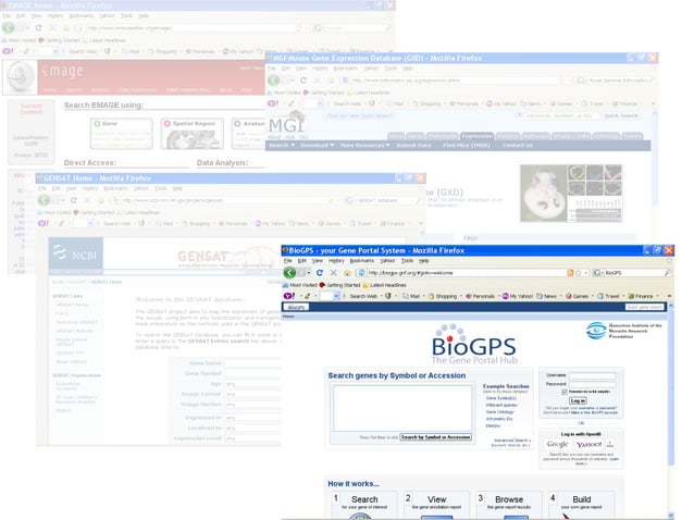 anatomic Gene Expression Mapping | PPT