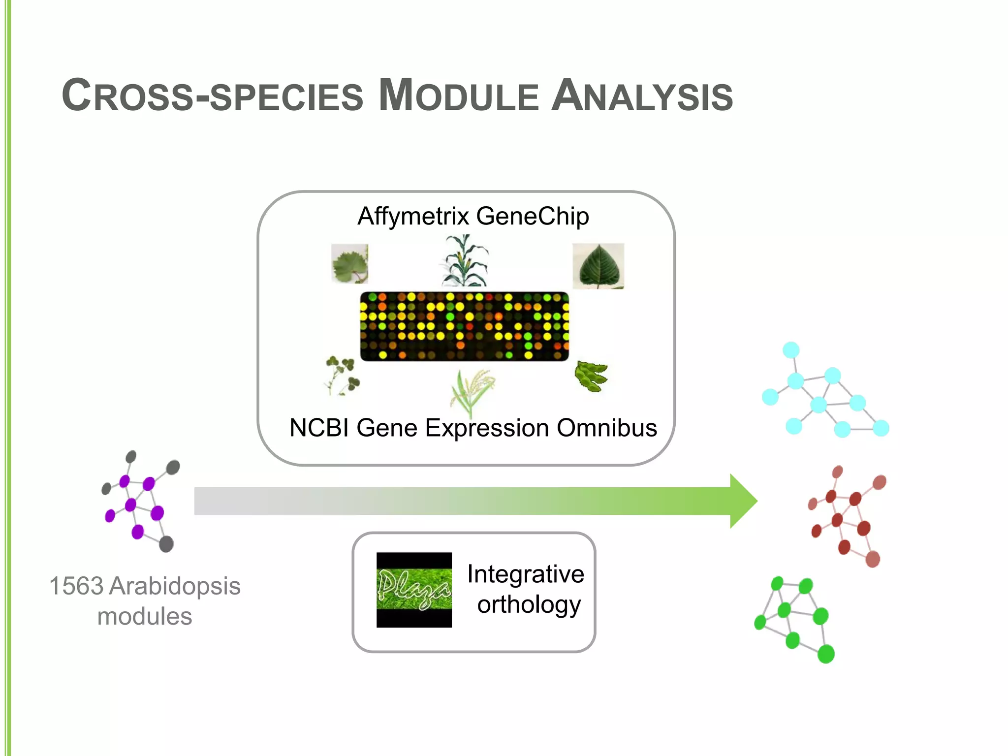 The complexity of plant genomes | PPT