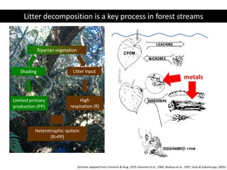 The use of meta-analysis to address ecological questions: an example ...