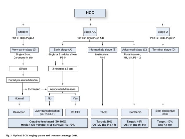Hcc Hepatocellular Carcinoma L 간세포암 네이버 블로그