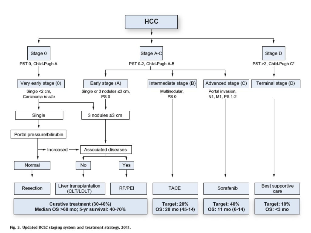 Barcelona clinic liver cancer (bclc) staging