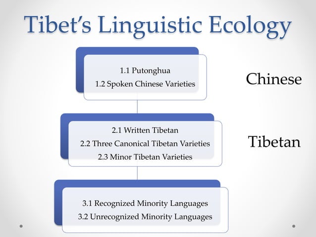 Linguistic Diversity and Language Revitalization in Tibet | PPT