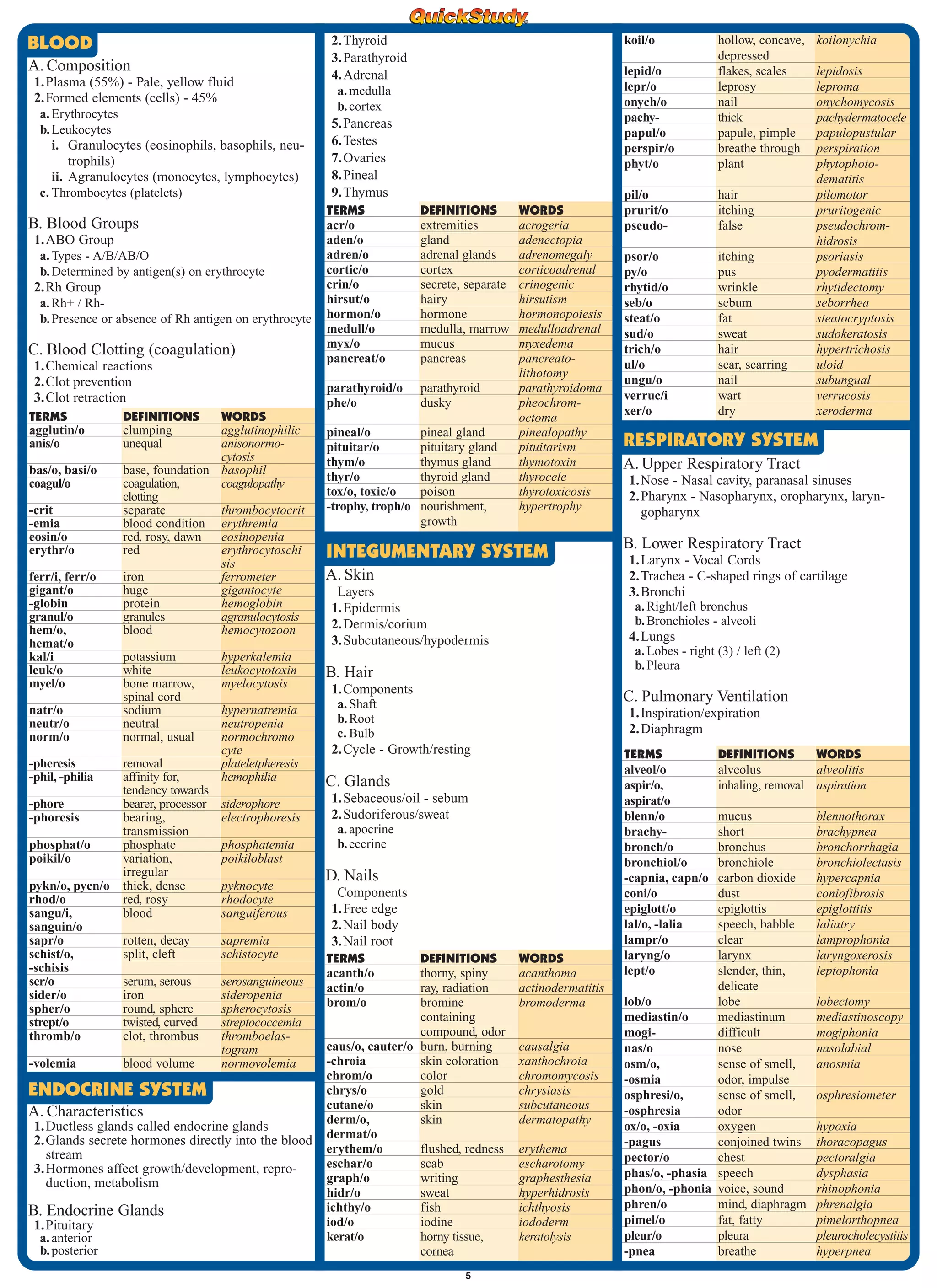 Bar charts quickstudy medical terminology the body | PDF