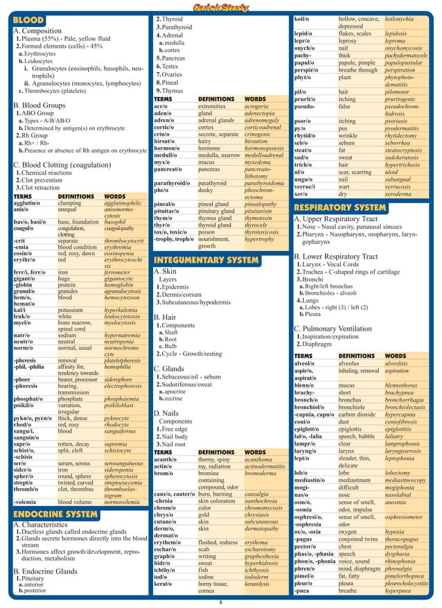 Bar charts quickstudy medical terminology the body | PDF