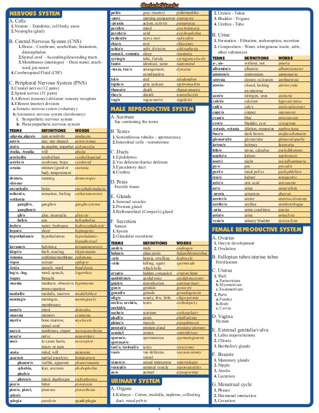 Bar charts quickstudy medical terminology the body