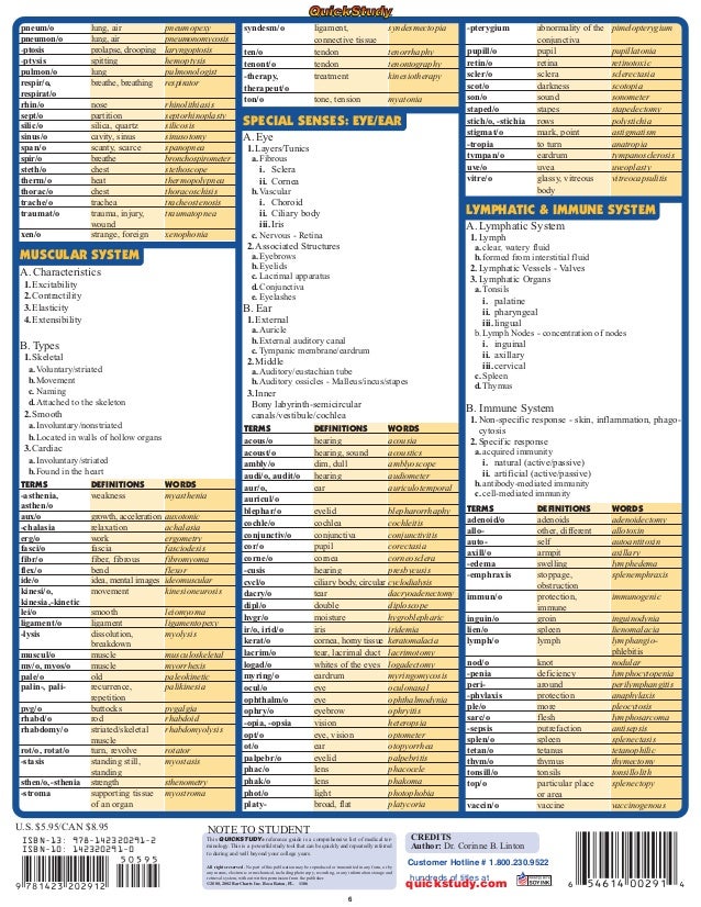 Bar charts quickstudy medical terminology the body Bar charts quickstudy medical terminology the body
