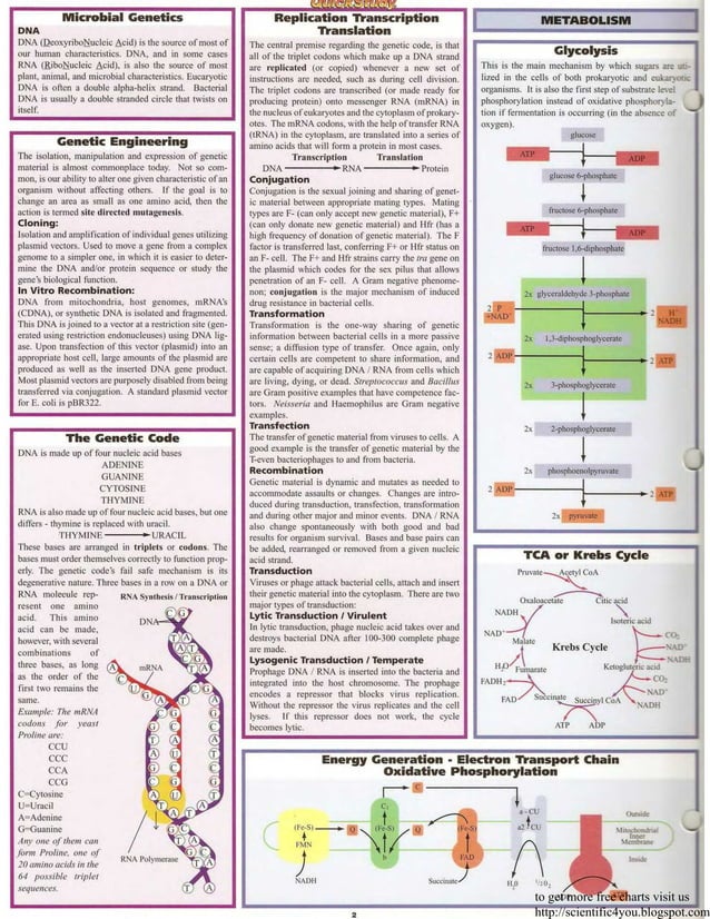Bar charts quickstudy microbiology | PDF | Internet | Computing