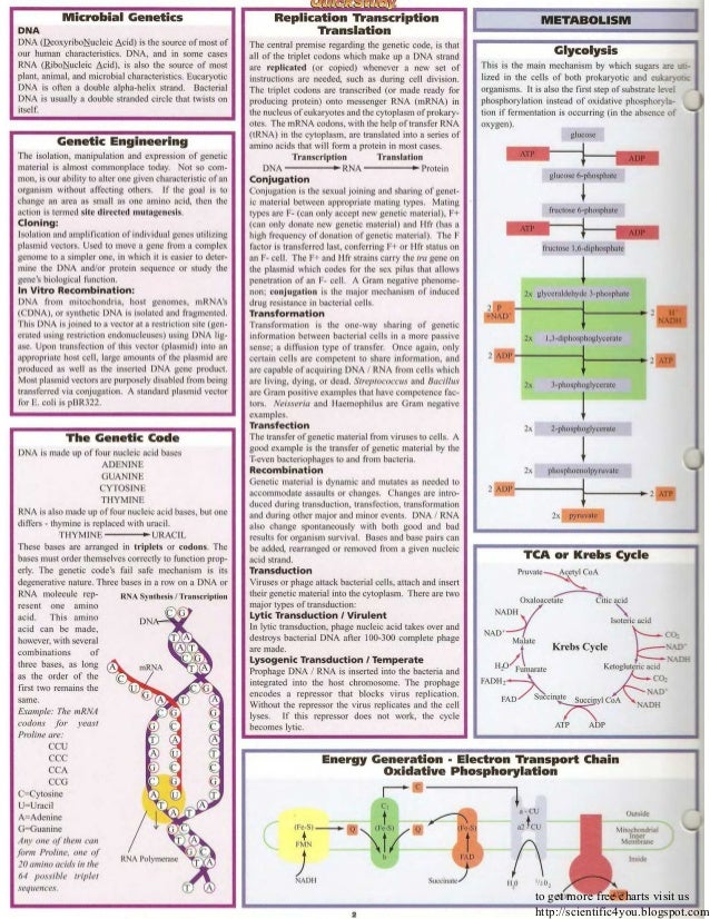 Bar charts quickstudy microbiology