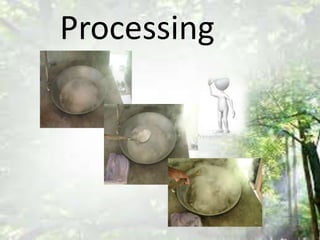 Coco Sap Sugar Presentation 1 | PPT