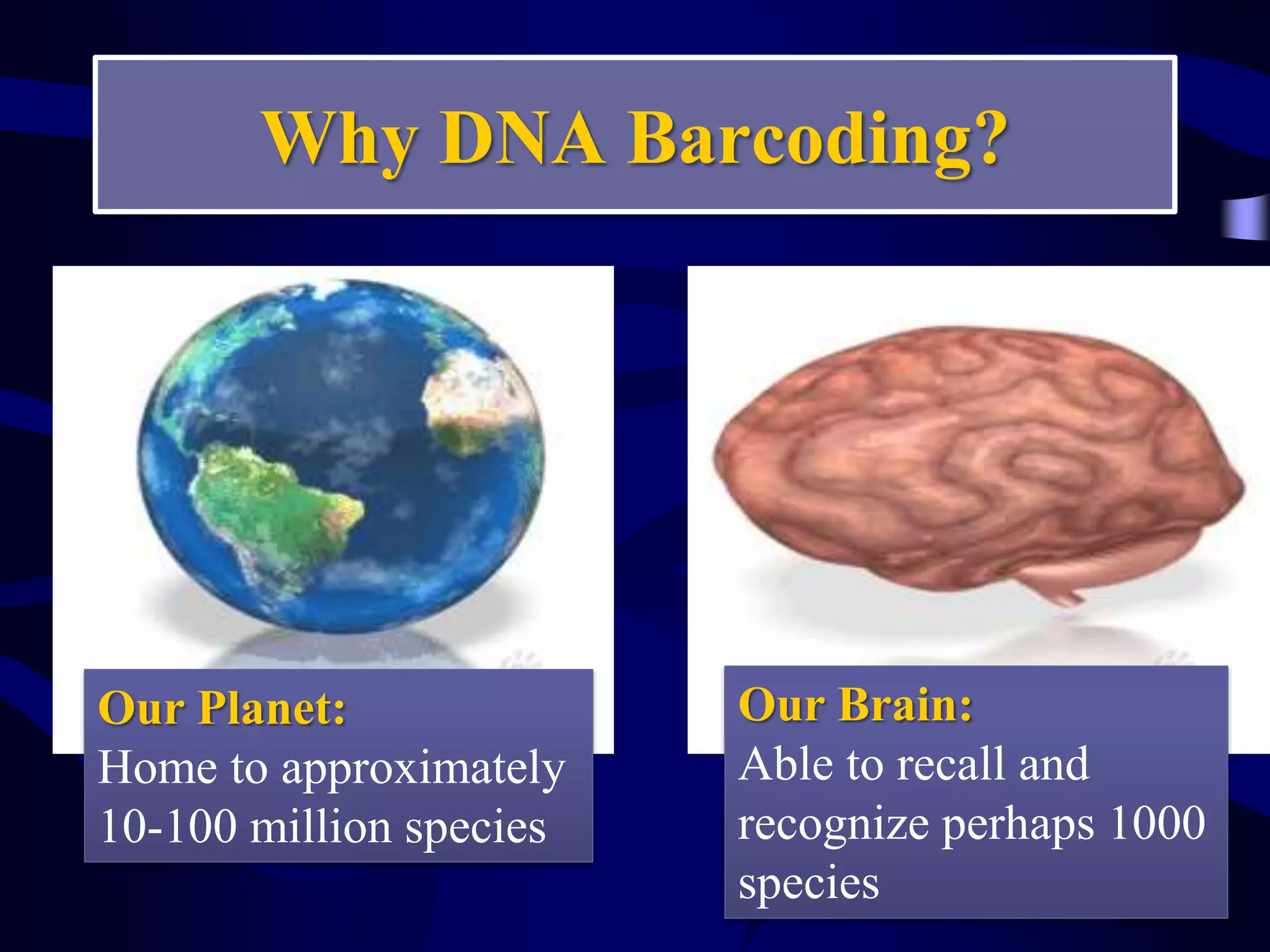 DNA BarcodING IN ANIMALS | PPT