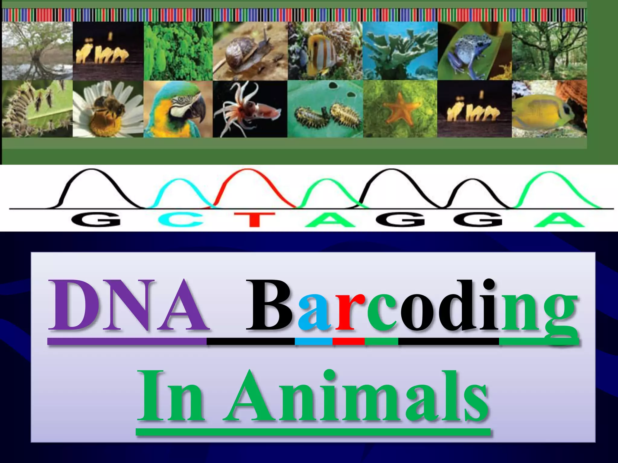 DNA BarcodING IN ANIMALS | PPT