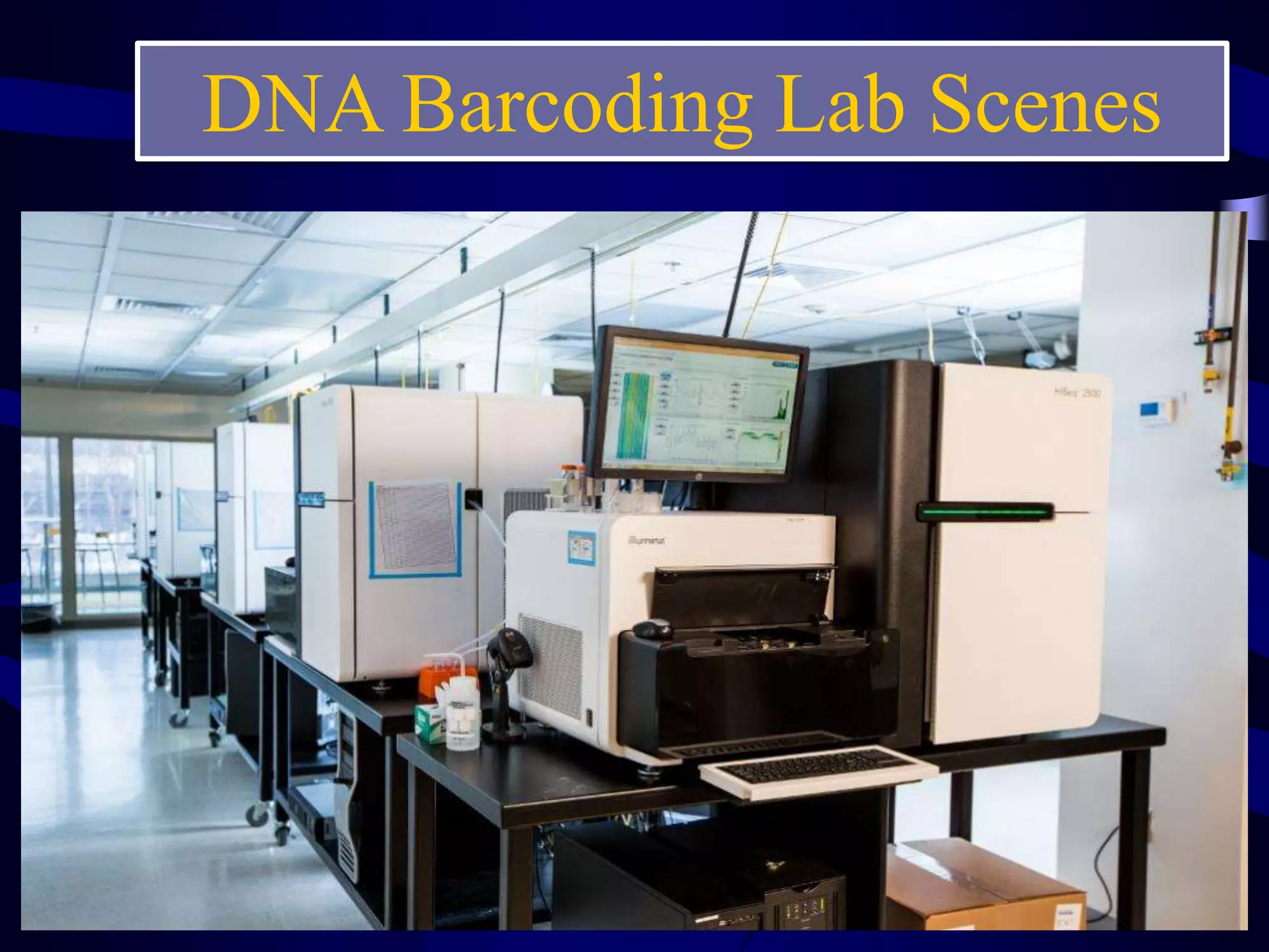 DNA BarcodING IN ANIMALS | PPT