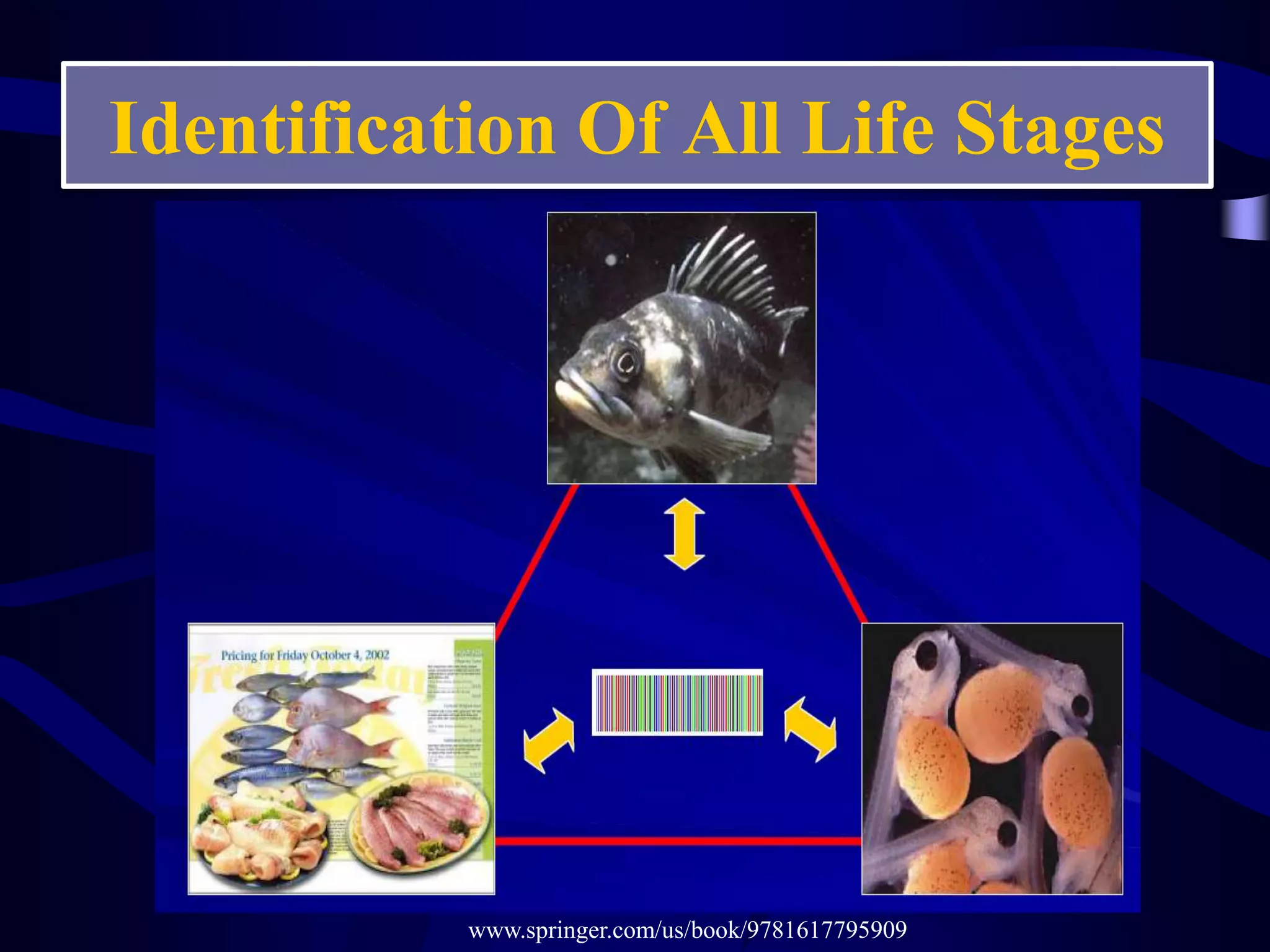 DNA BarcodING IN ANIMALS | PPT