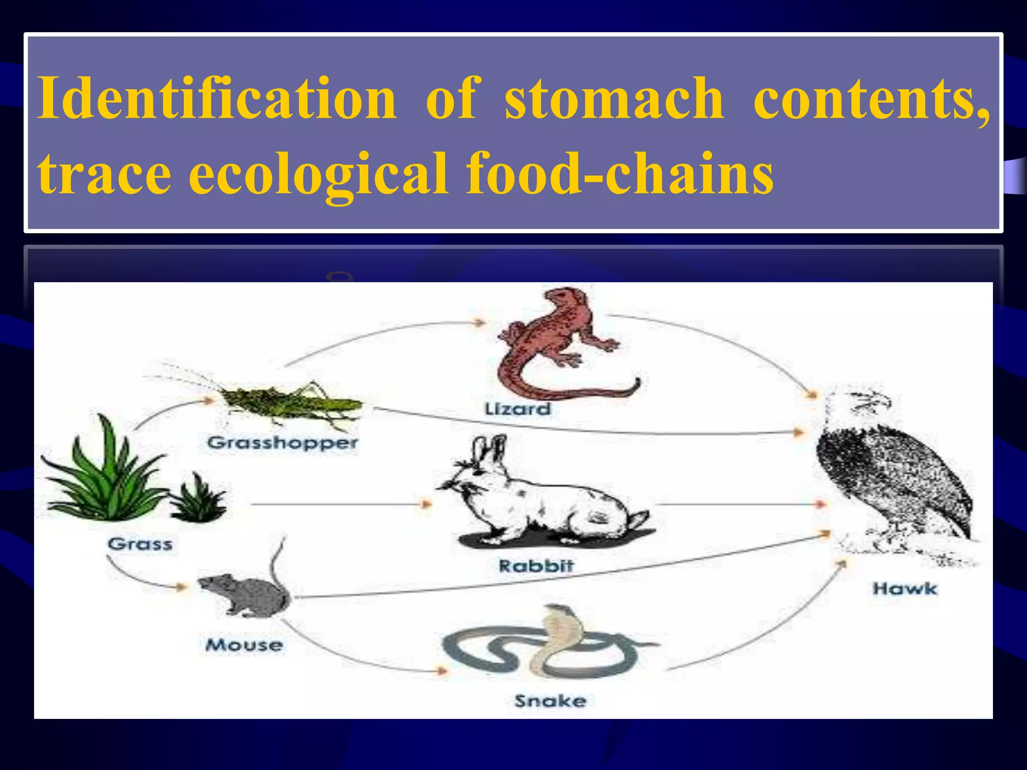 DNA BarcodING IN ANIMALS | PPT
