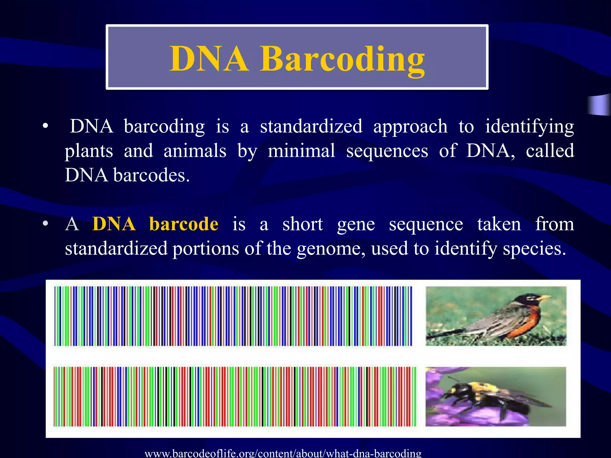 DNA BarcodING IN ANIMALS | PPT
