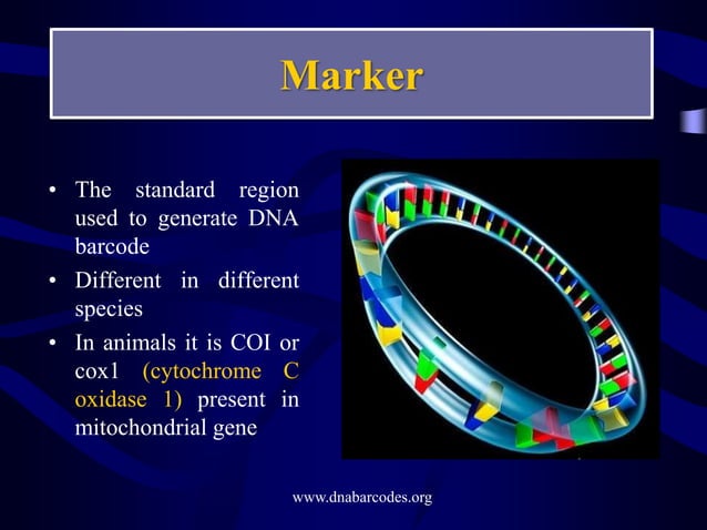 DNA BarcodING IN ANIMALS | PPT