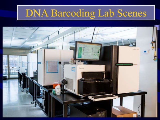 DNA BarcodING IN ANIMALS | PPT