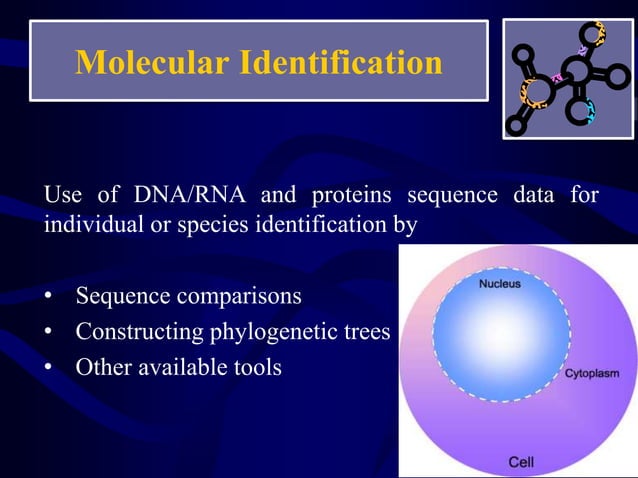 DNA BarcodING IN ANIMALS | PPT