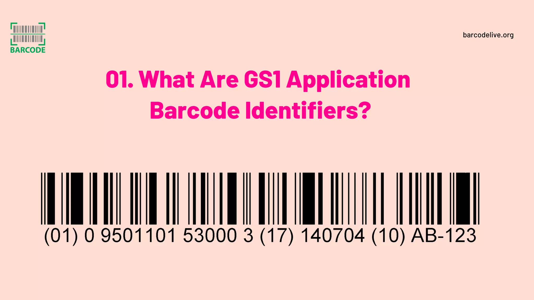 Barcode Identifiers: Everything You Need To Know [FAQs] | PDF