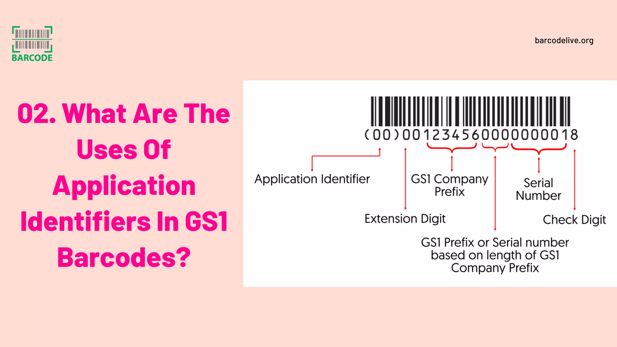 Barcode Identifiers: Everything You Need To Know [FAQs] | PDF