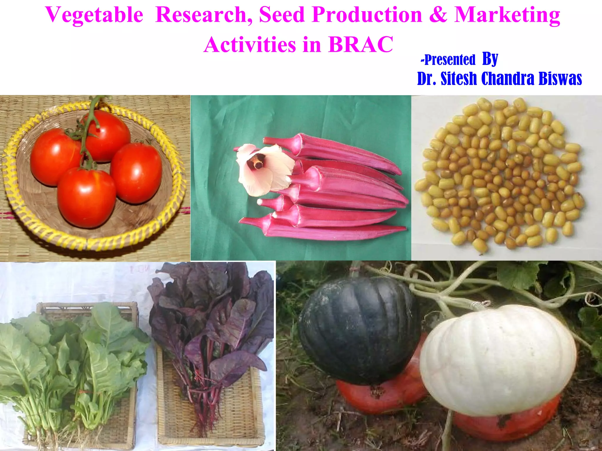 BRAC Agricultural Research and Development Centre and Its Vegetable ...
