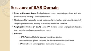 BAR Dmains, Types, Mechanism, Functions.pptx