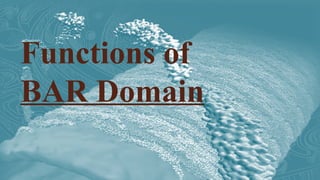 BAR Dmains, Types, Mechanism, Functions.pptx